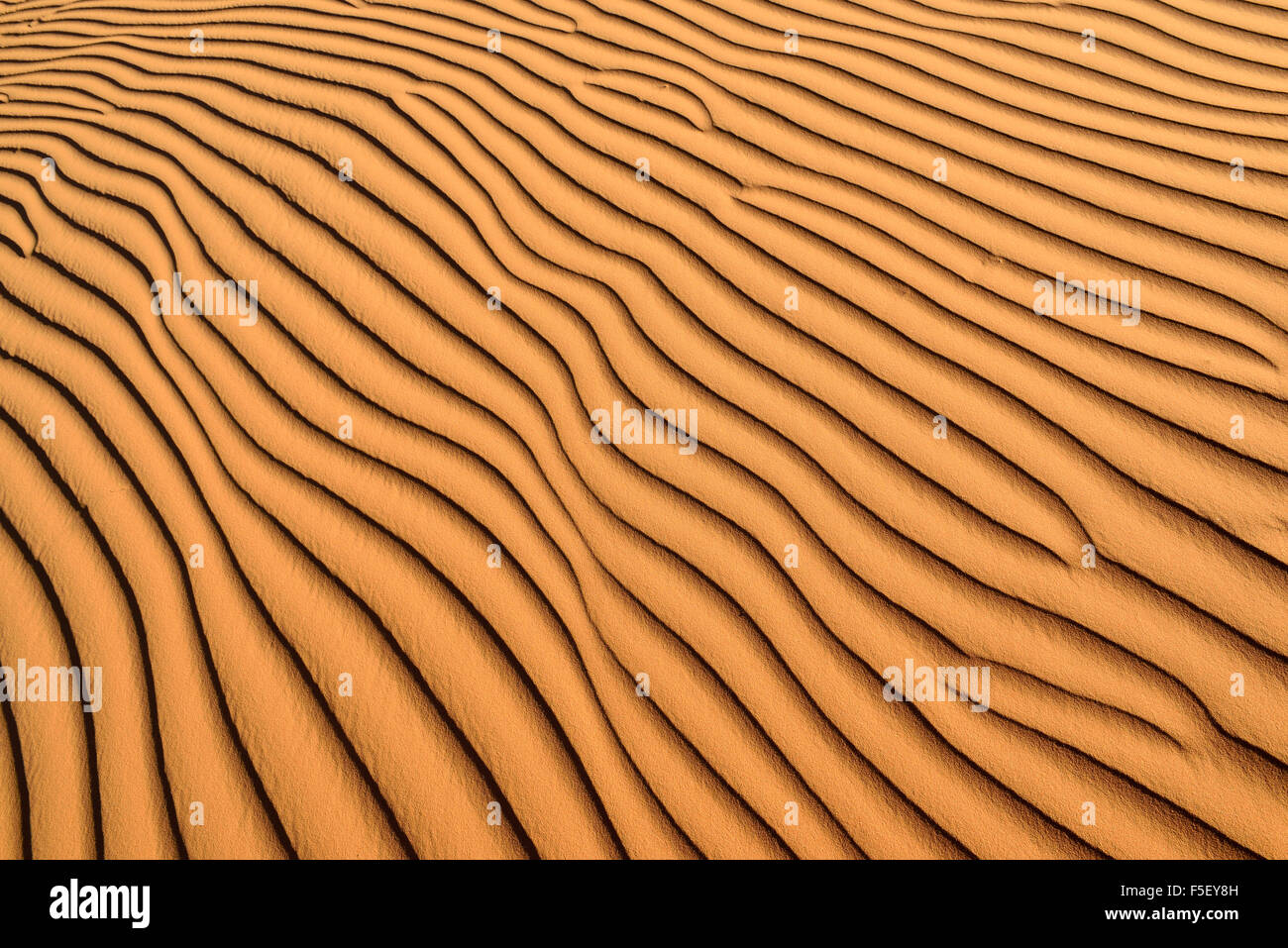 Sand ripples, texture on a sand dune, Tassili n'Ajjer, Sahara desert ...