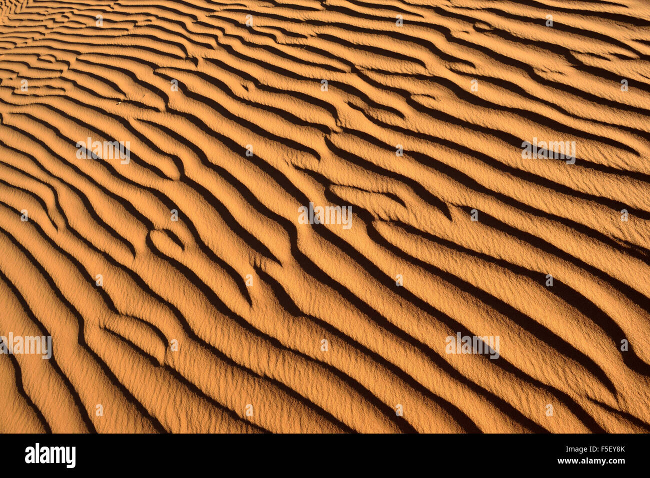 Sand ripples, texture on a sand dune, Tassili n'Ajjer, Sahara desert ...
