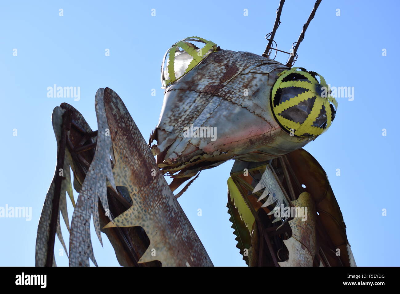 Preying Mantis Mascot Stock Photo - Alamy