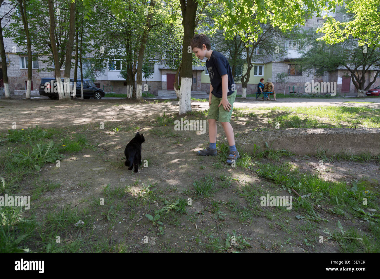Lviv, Ukraine, boy and cat in a district with high-rise developments ...