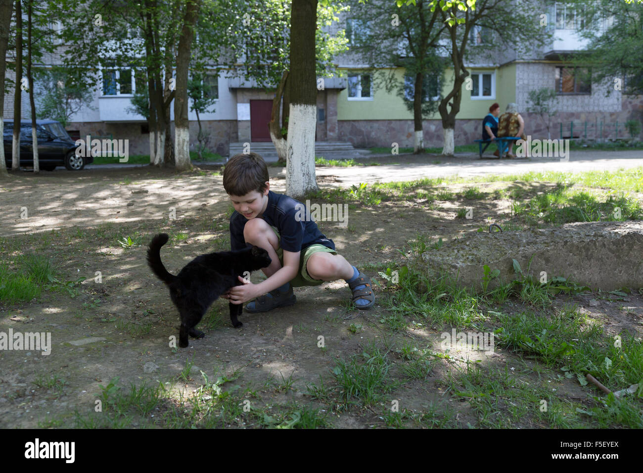 Lviv, Ukraine, boy and cat in a district with high-rise developments ...
