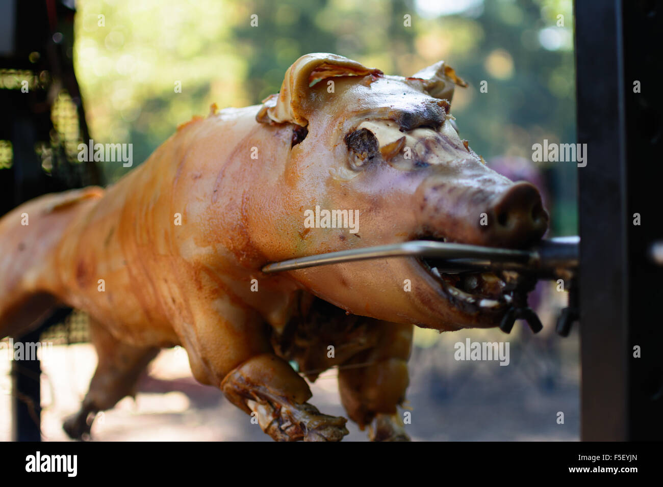 Barbecue pig hi-res stock photography and images - Alamy