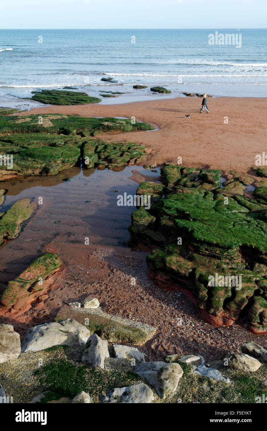 Walking rock pools hi-res stock photography and images - Alamy