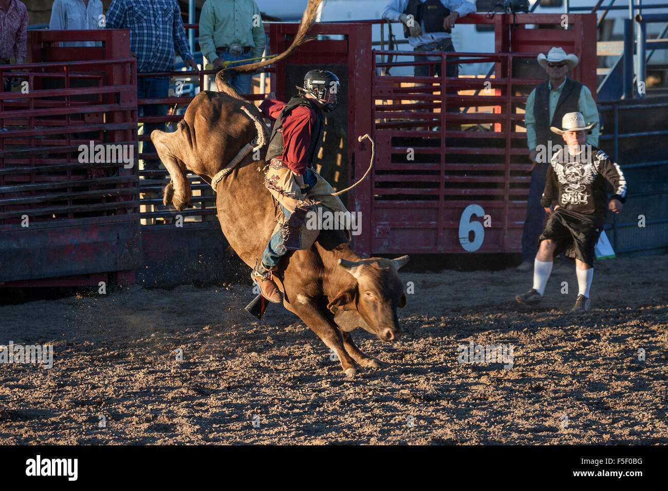 Rodeo High Resolution Stock Photography and Images - Alamy