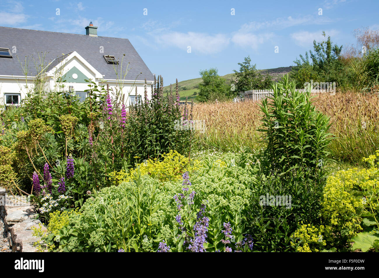 Irish cottage garden hi-res stock photography and images - Alamy