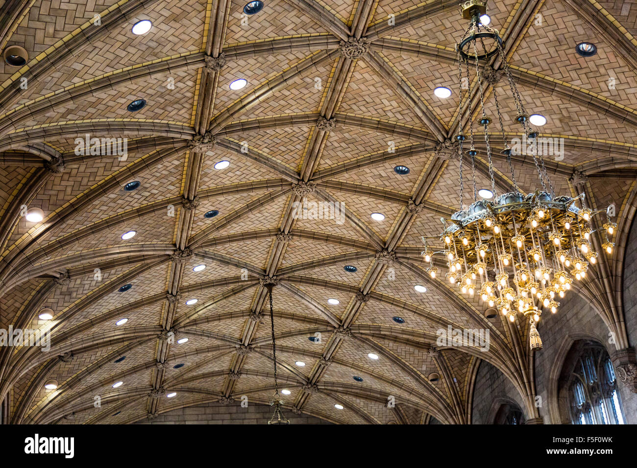 Harper library ceiling hi-res stock photography and images - Alamy