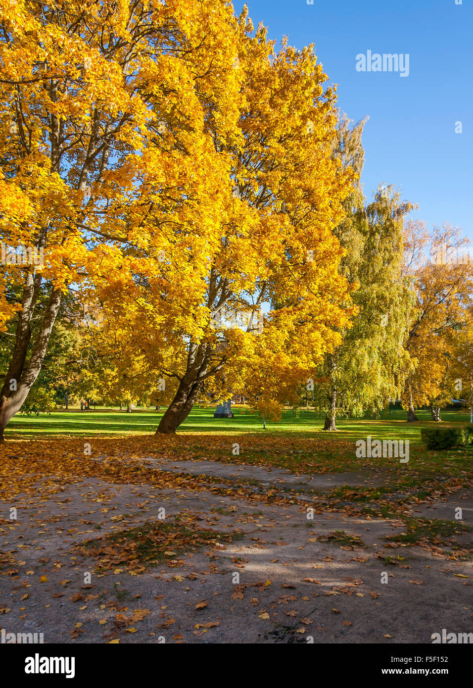 Autumn season landscape leaves and man road hi-res stock photography ...