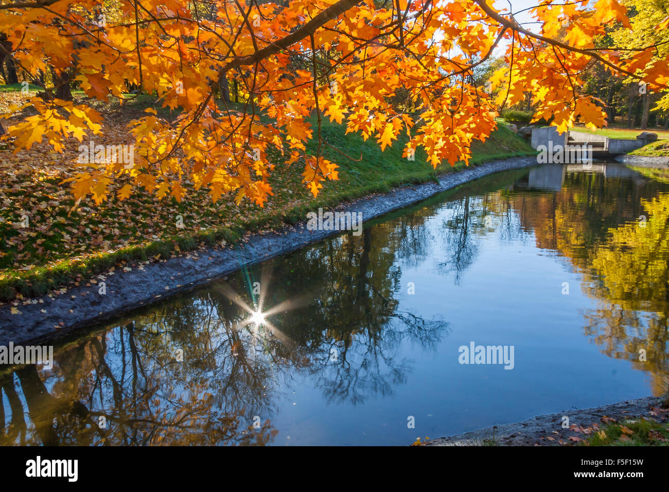 Reflection of Autumn Trees in Water Stock Photo - Alamy