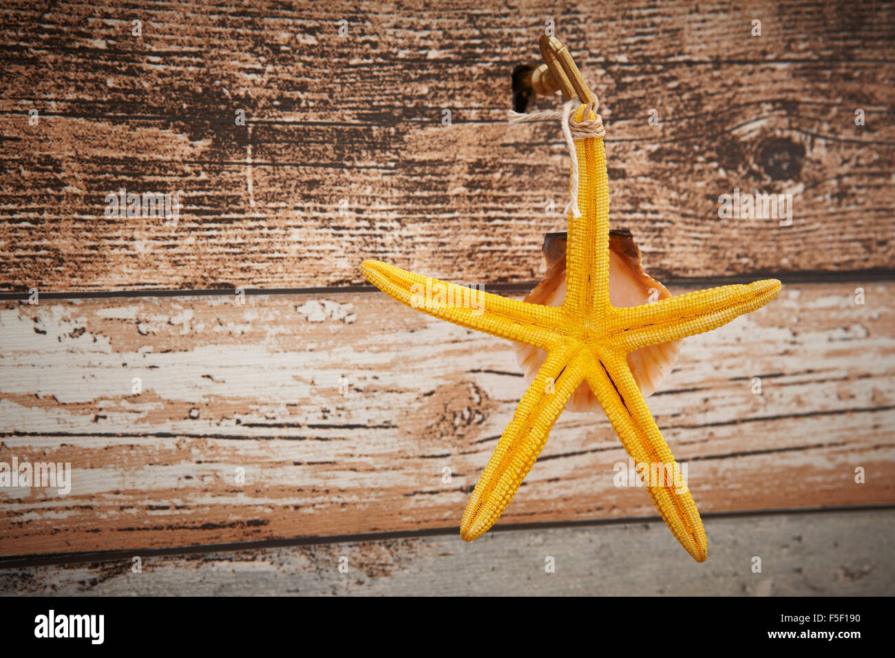 Yellow starfish and shell like a key holder Stock Photo - Alamy