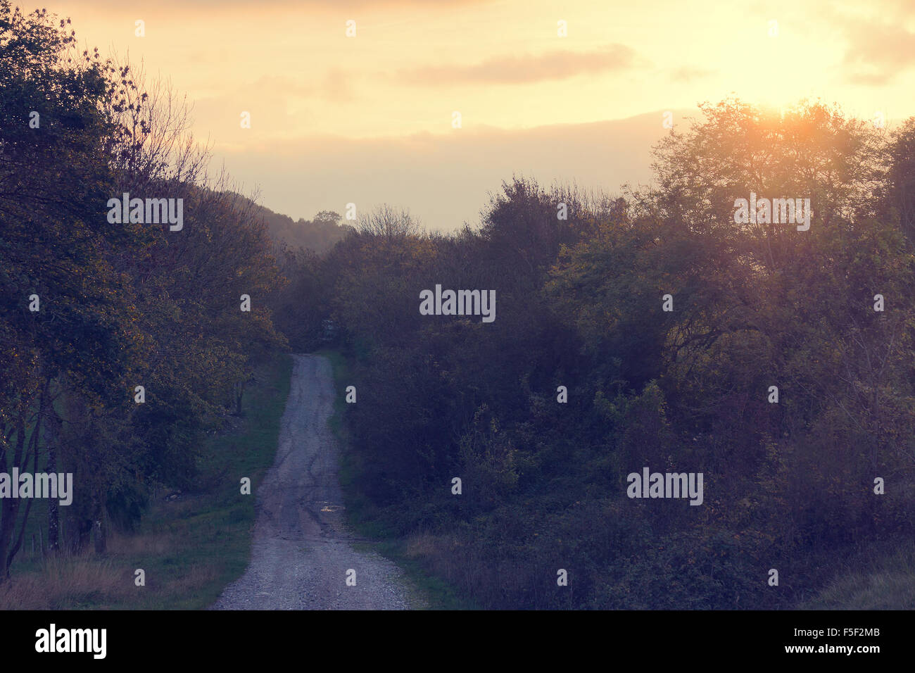 Path with sun hi-res stock photography and images - Alamy