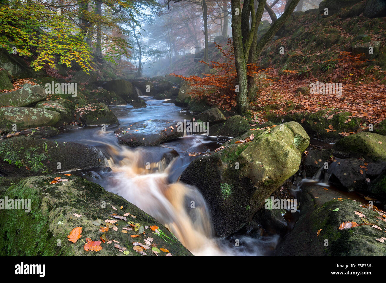 Padley Gorge in Autumn, Near Grindleford, Peak District National Park ...
