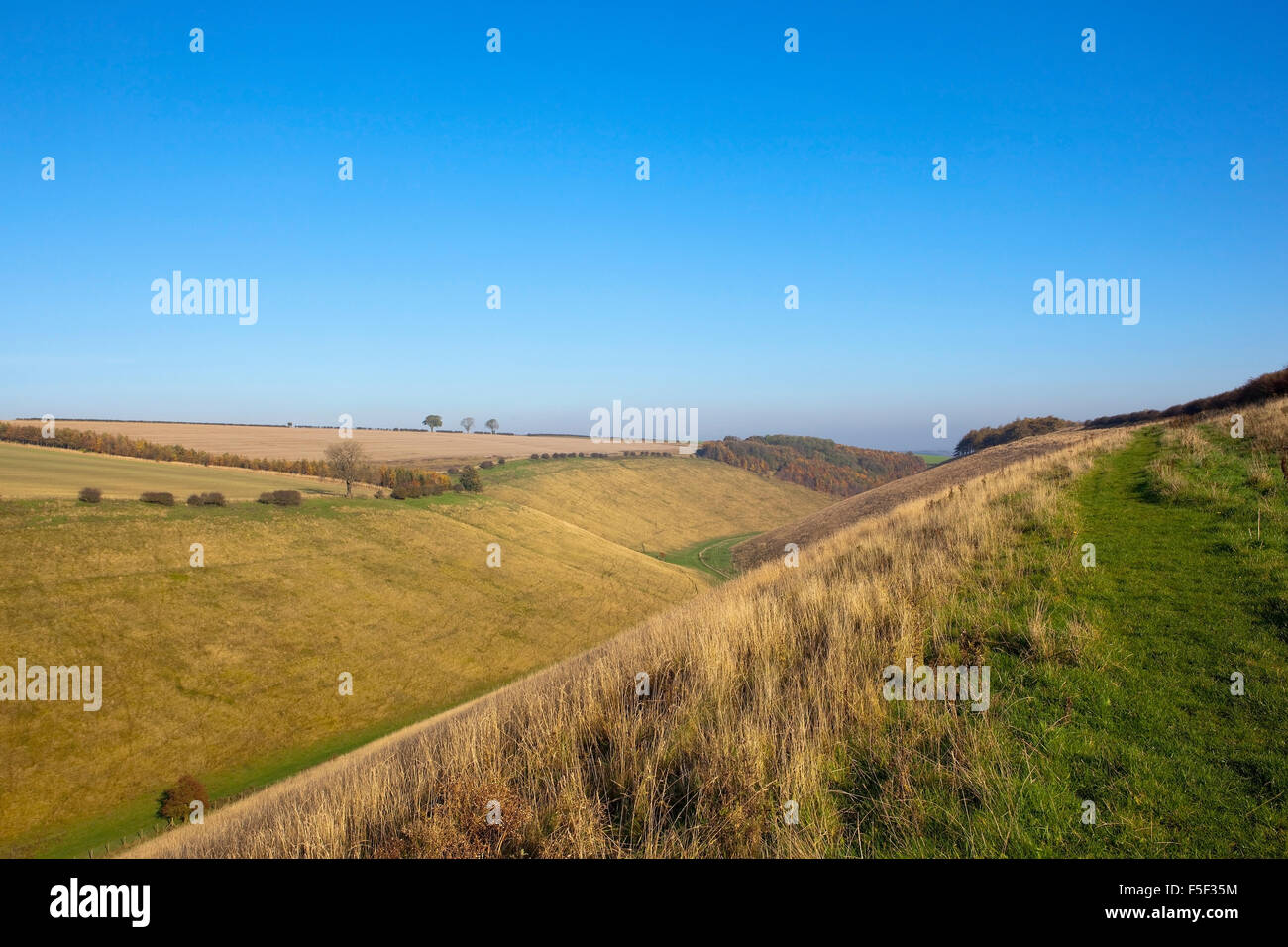 Horsedale valley on the Yorkshire wolds with grazing meadows, dry ...
