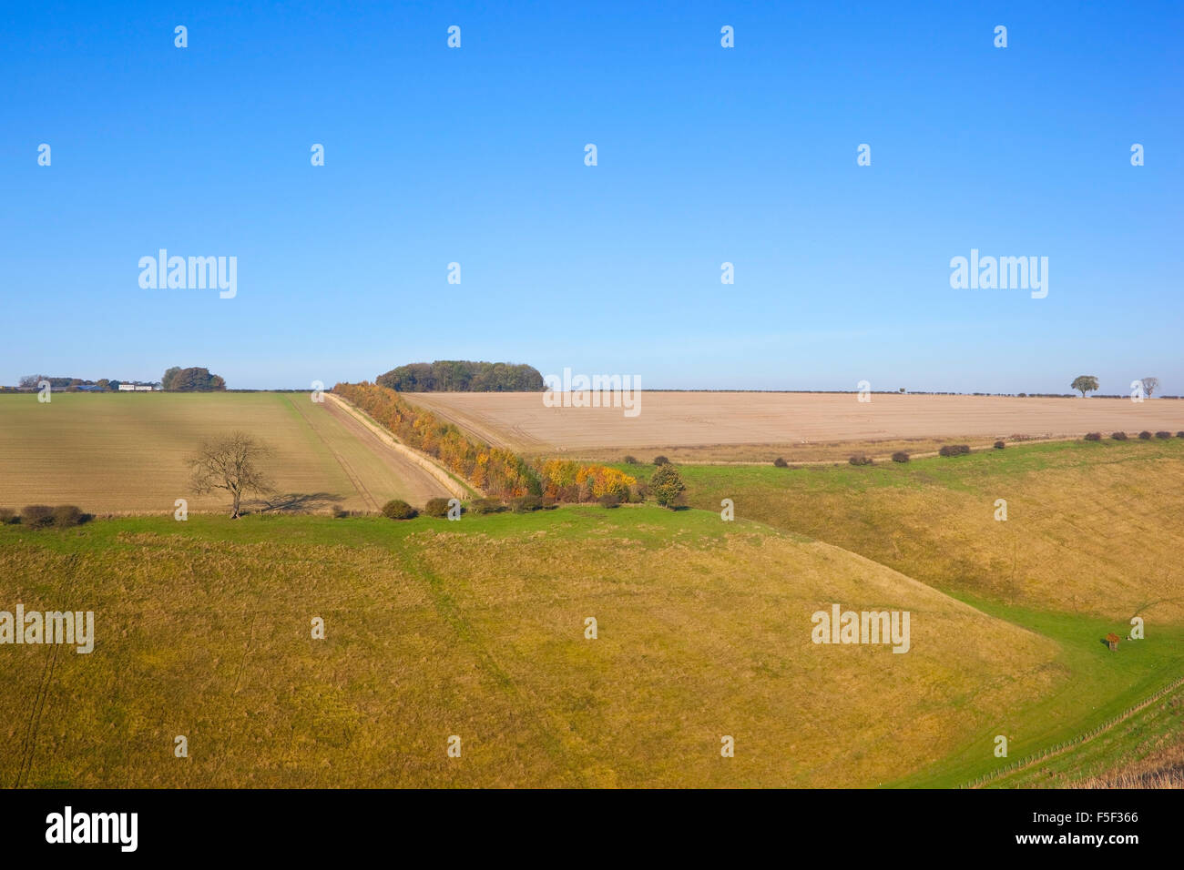 Scenic Horsedale on the Yorkshire wolds with colorful autumn trees ...