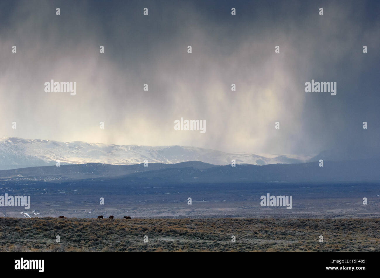 Winter storm in the desert hi-res stock photography and images - Alamy