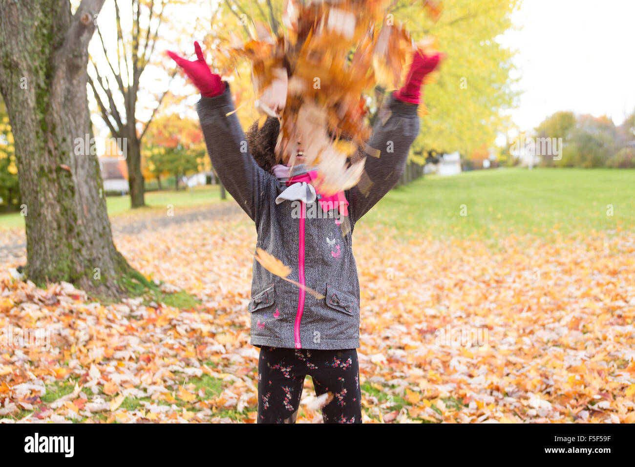 Child on autumn season portrait Stock Photo - Alamy