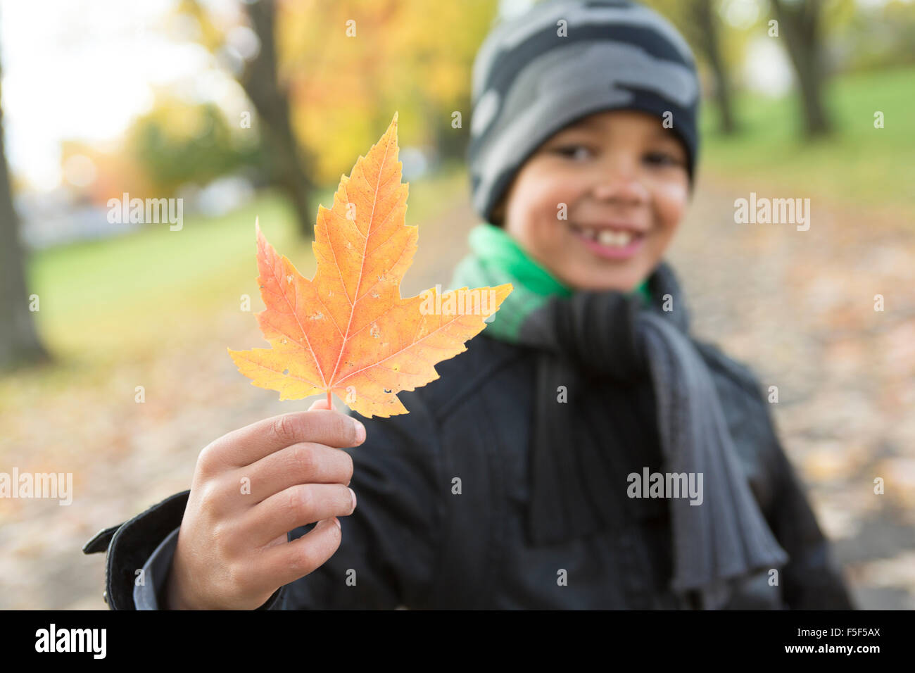 cute boy with autumn leaves in the park Stock Photo - Alamy