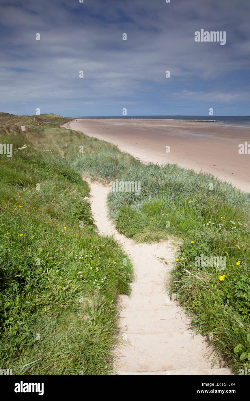 Seahouses Beach; Northumberland; UK Stock Photo - Alamy
