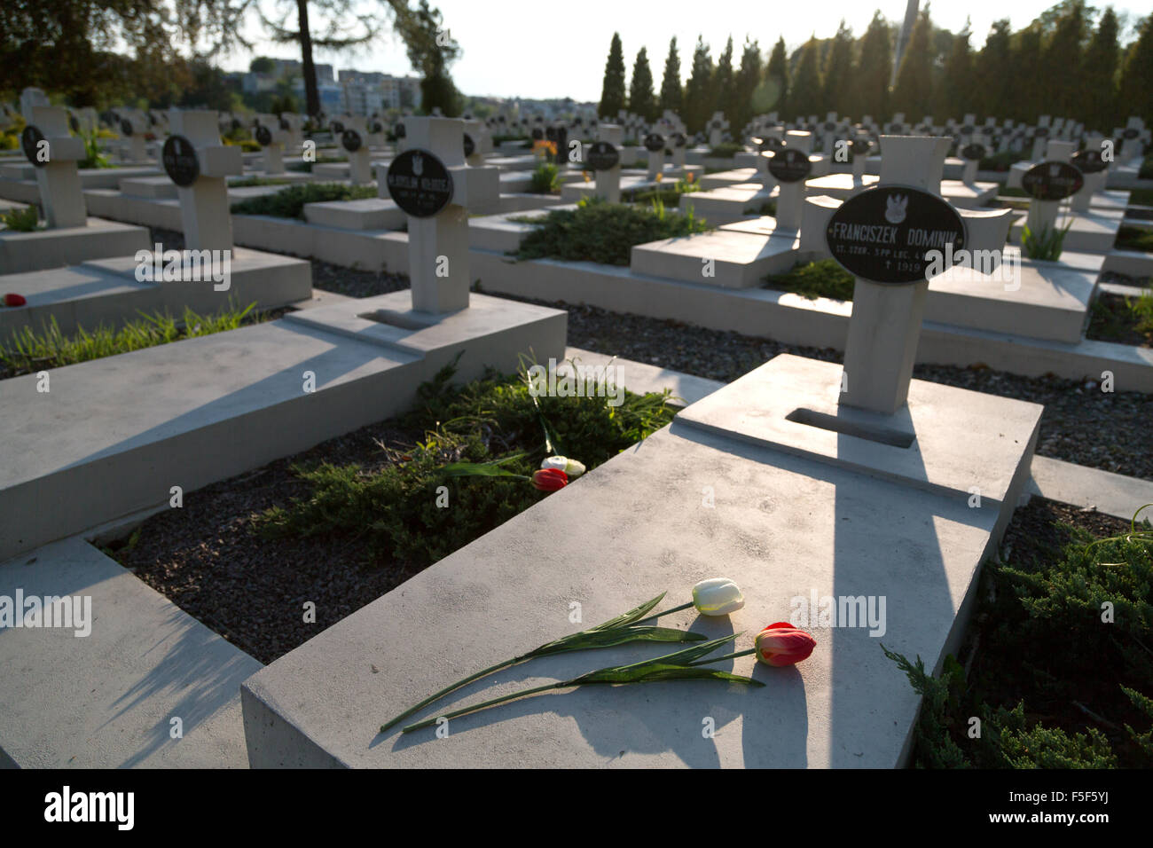 Lviv, Ukraine, graves of fallen soldiers of the Polish Army from the ...