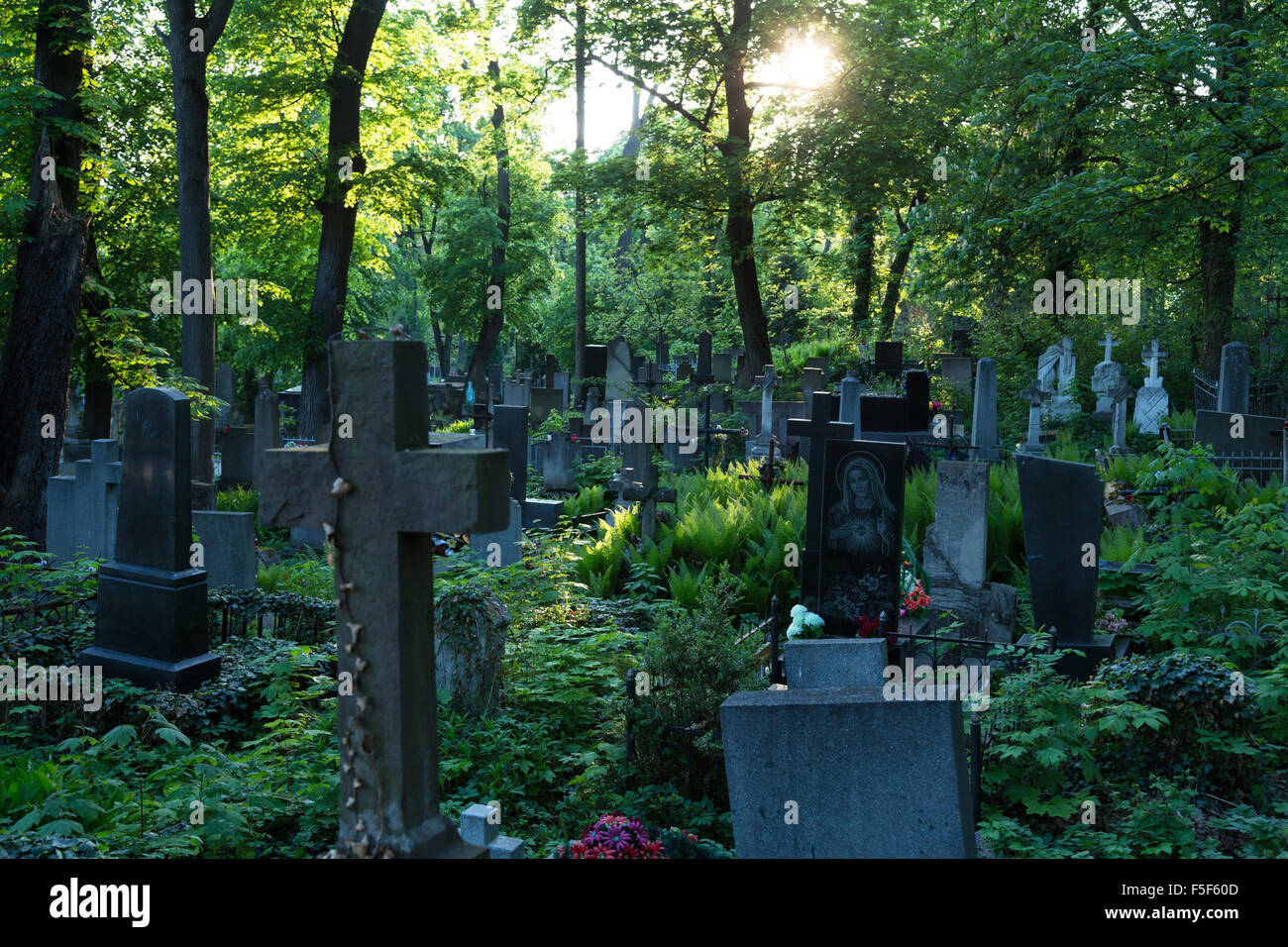 Lviv, Ukraine, graves in the Lychakiv Cemetery Stock Photo - Alamy