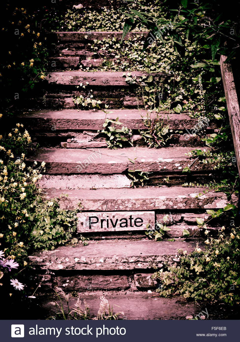 Old Worn Steps High Resolution Stock Photography and Images - Alamy