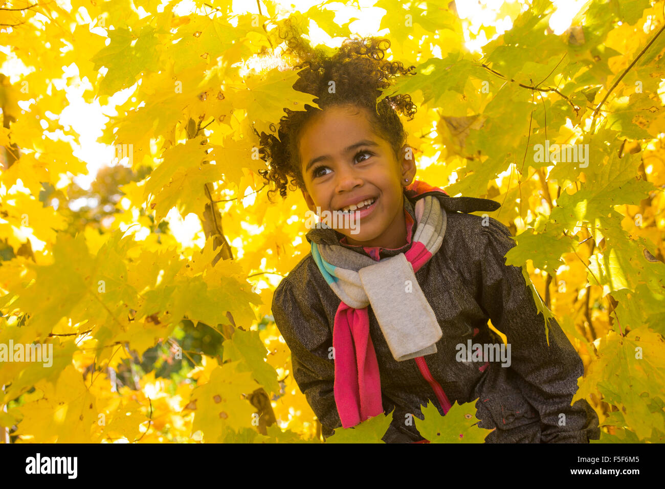 Child on autumn season portrait Stock Photo - Alamy