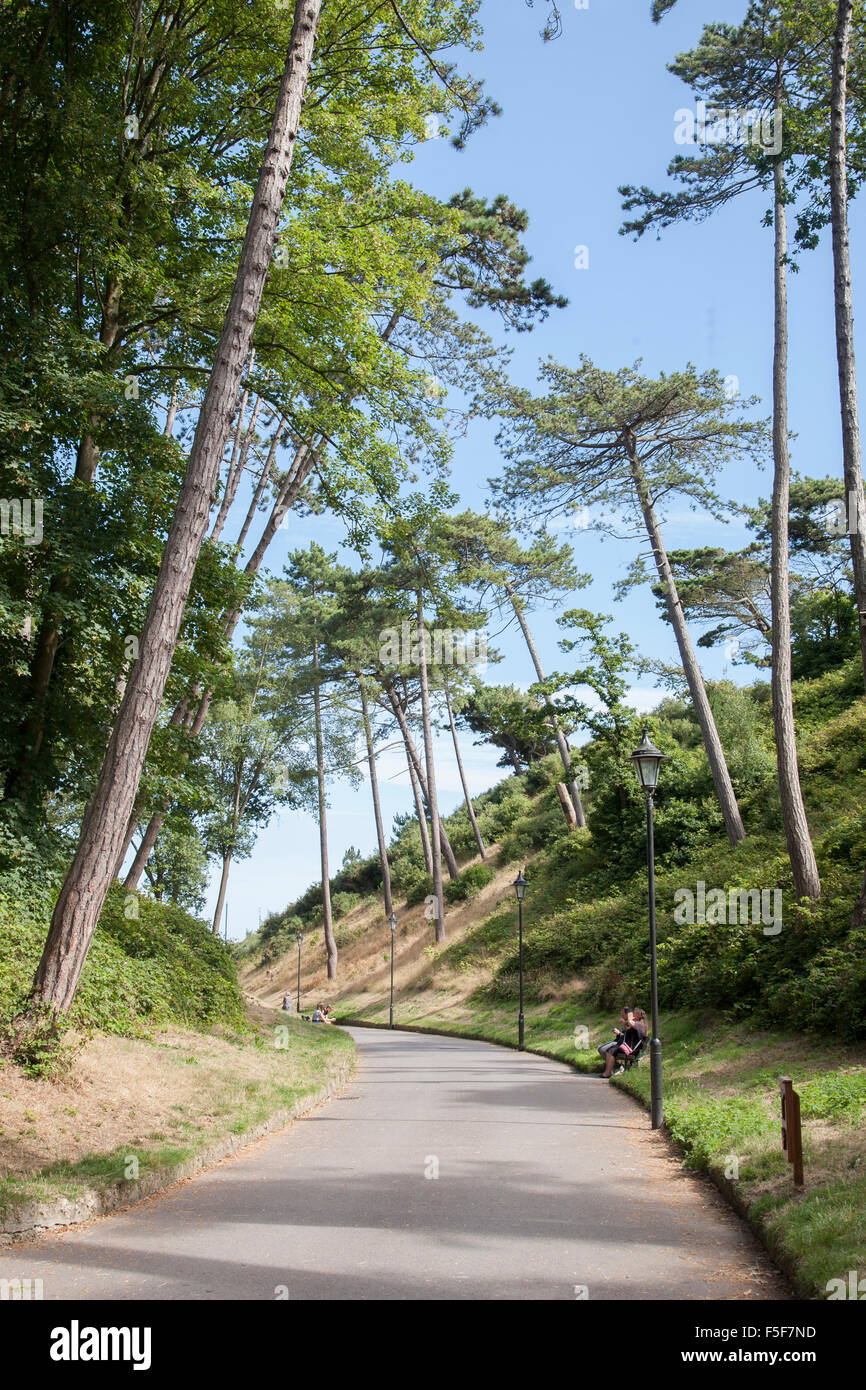 Boscombe Chine Gardens, Bournemouth; England, UK Stock Photo - Alamy