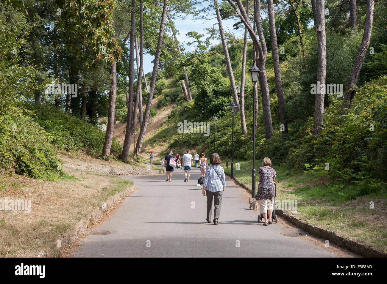 Boscombe Chine Gardens, Bournemouth; England, UK Stock Photo - Alamy