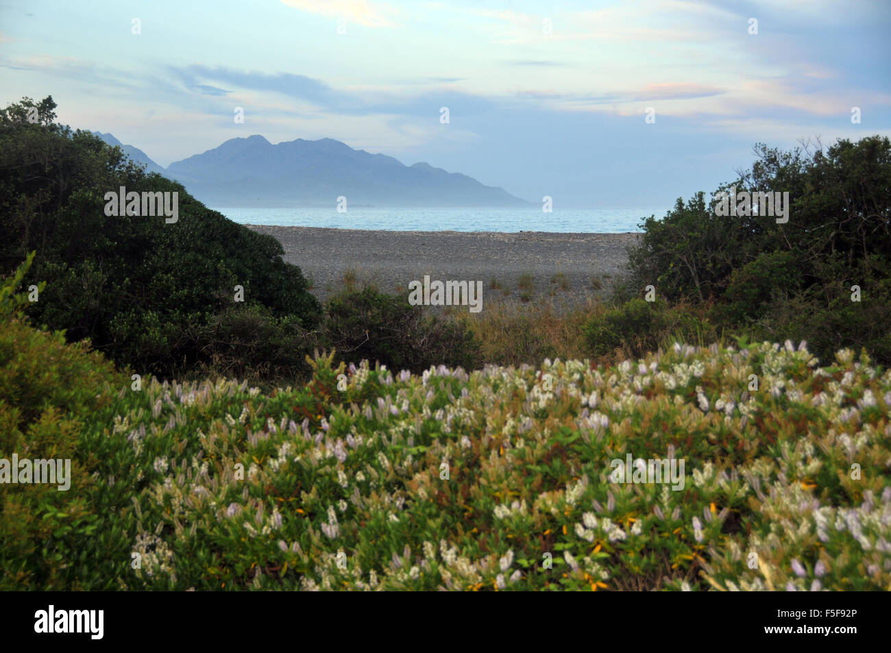 Haast new zealand hi-res stock photography and images - Alamy