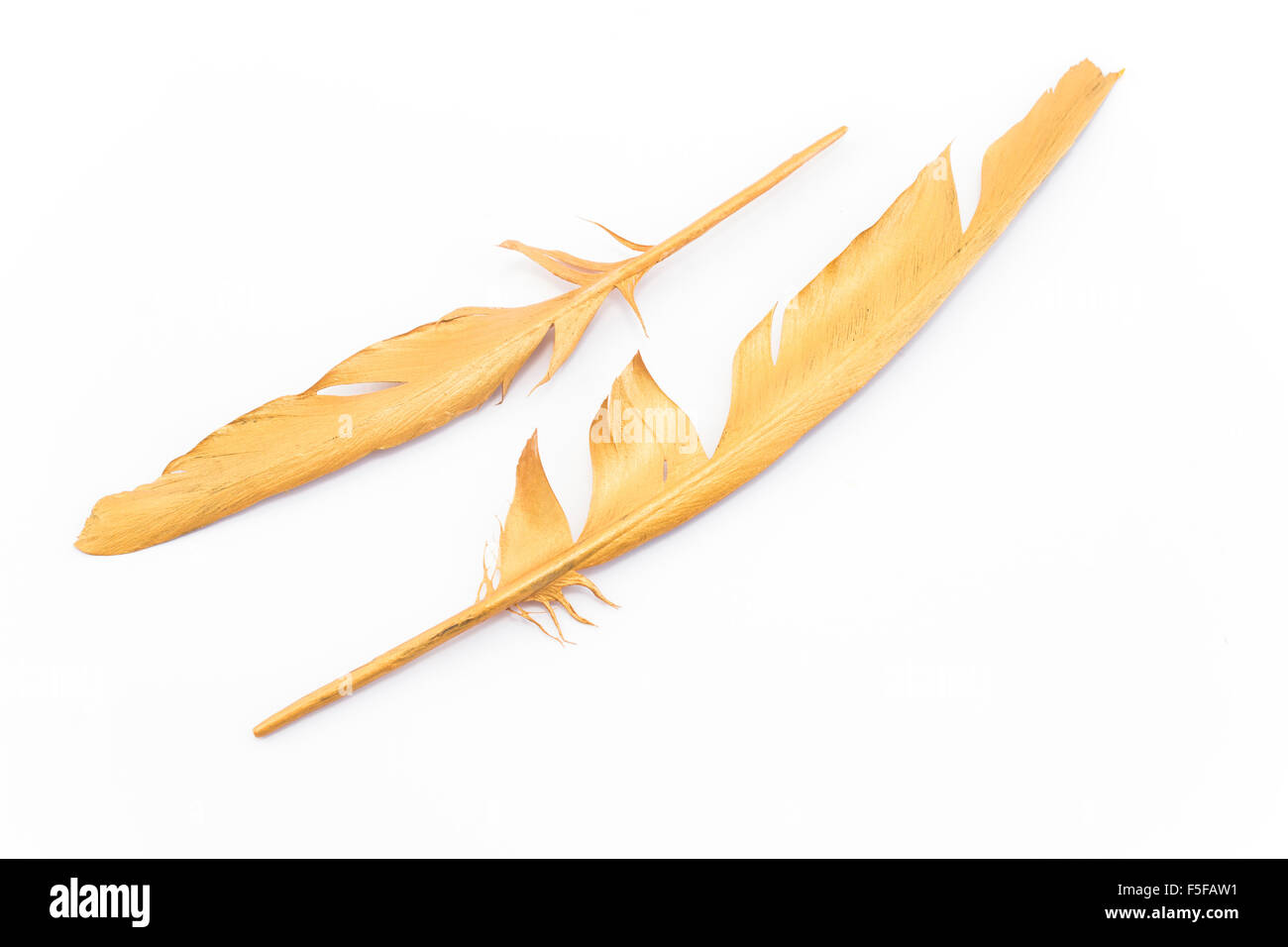 Gold feathers hi-res stock photography and images - Alamy