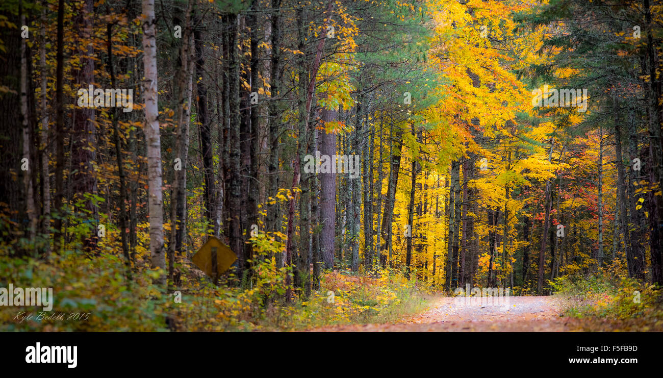 Autumn color illuminates the forest and rural roads in late October ...