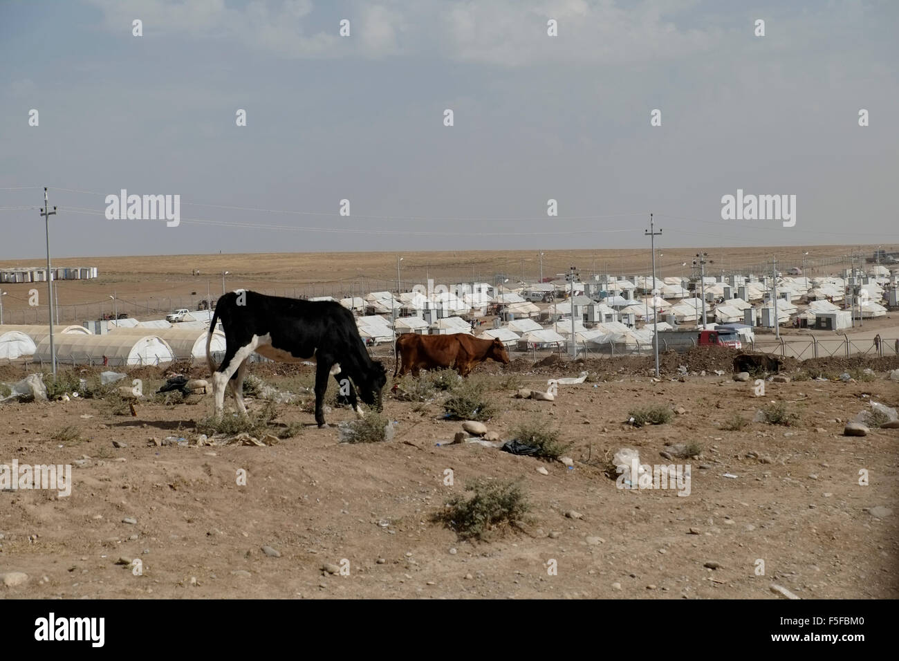 Iraqi town hi-res stock photography and images - Alamy