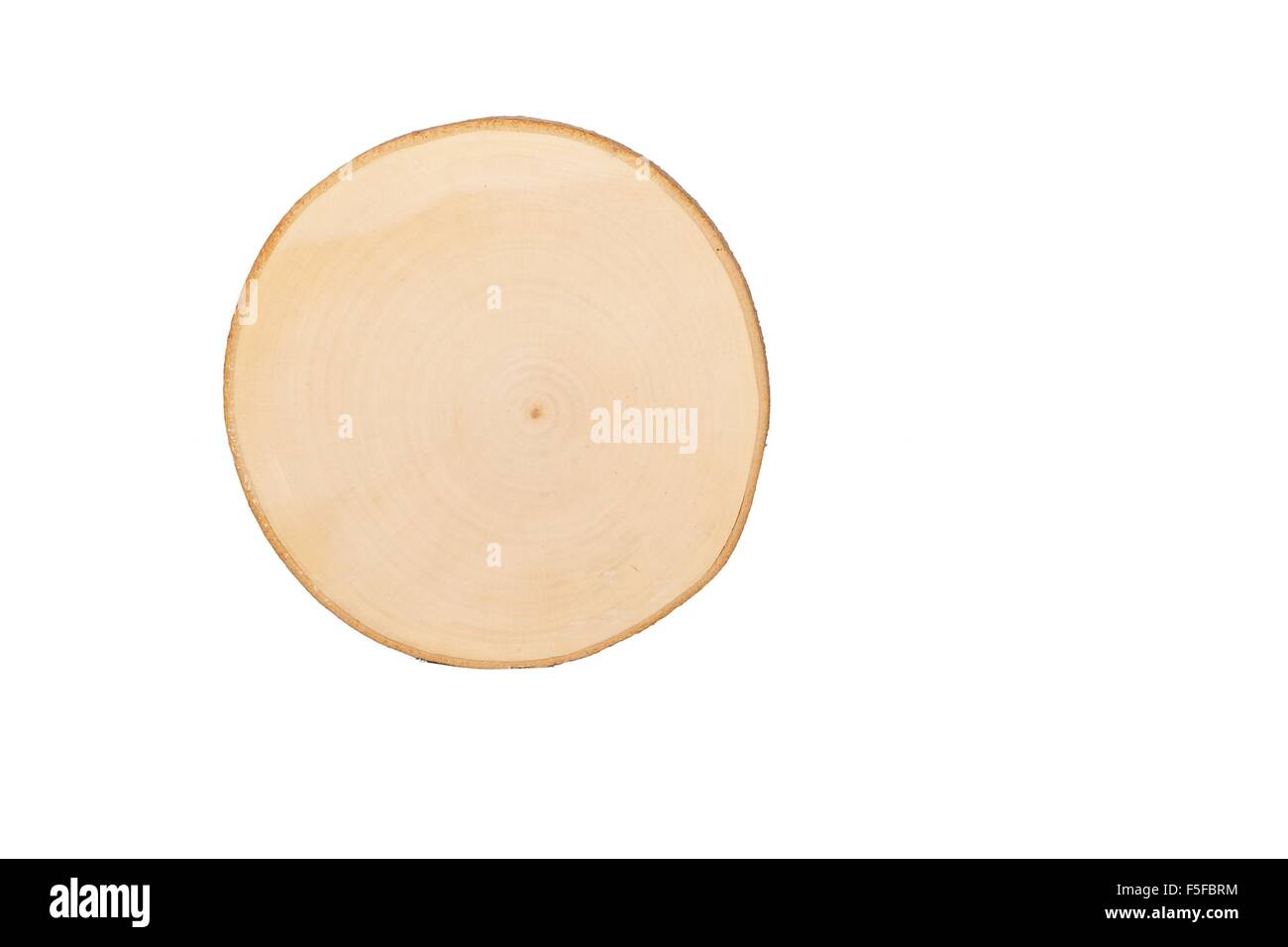 detailed sectional view of the tree (white background Stock Photo - Alamy