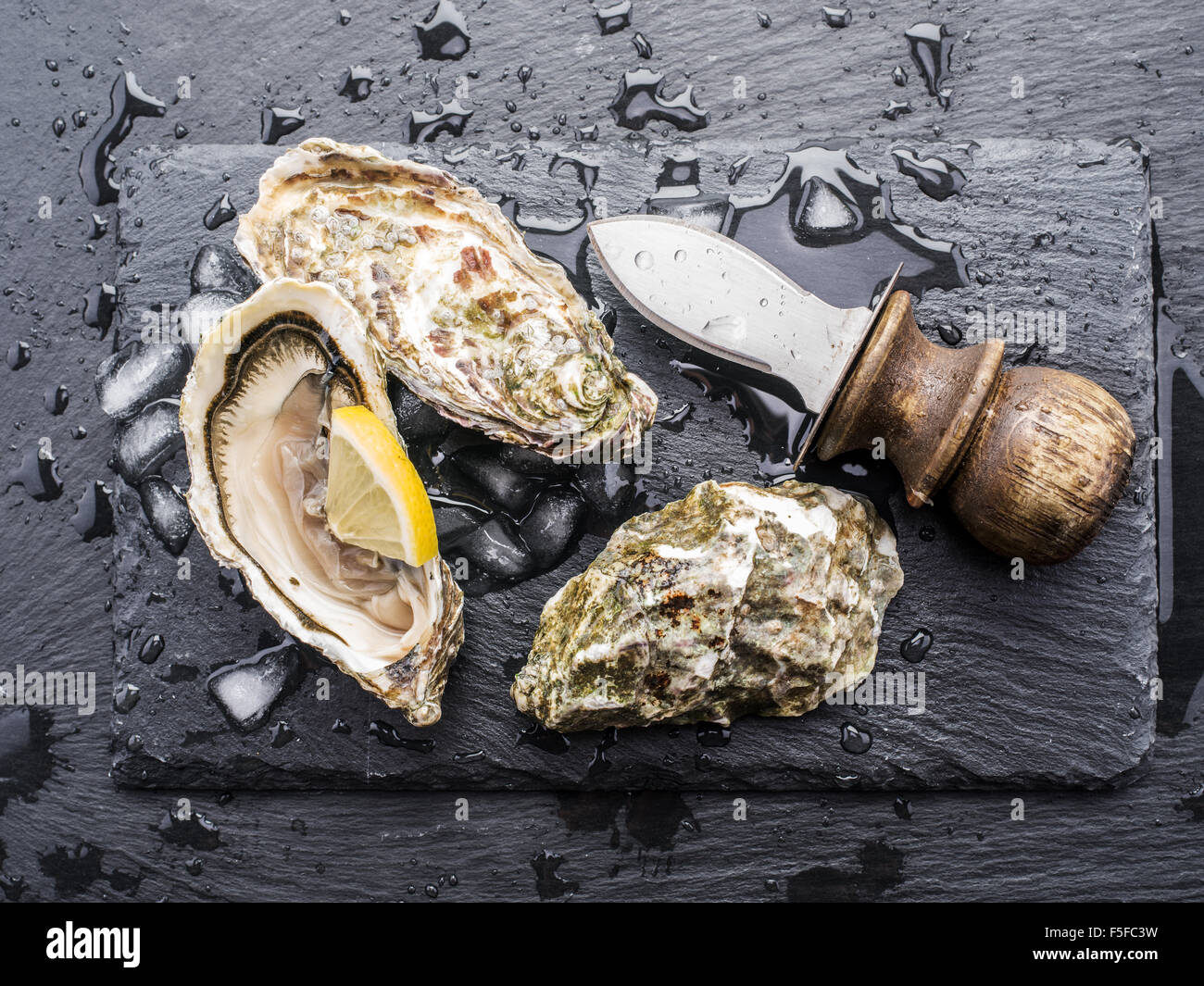 Oysters hi-res stock photography and images - Alamy
