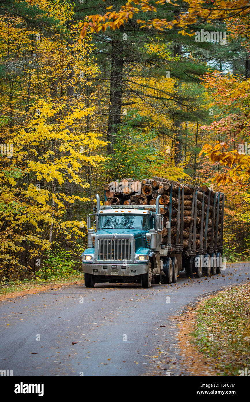 Enemy of the forest, A logging truck hauling its load out of the woods ...