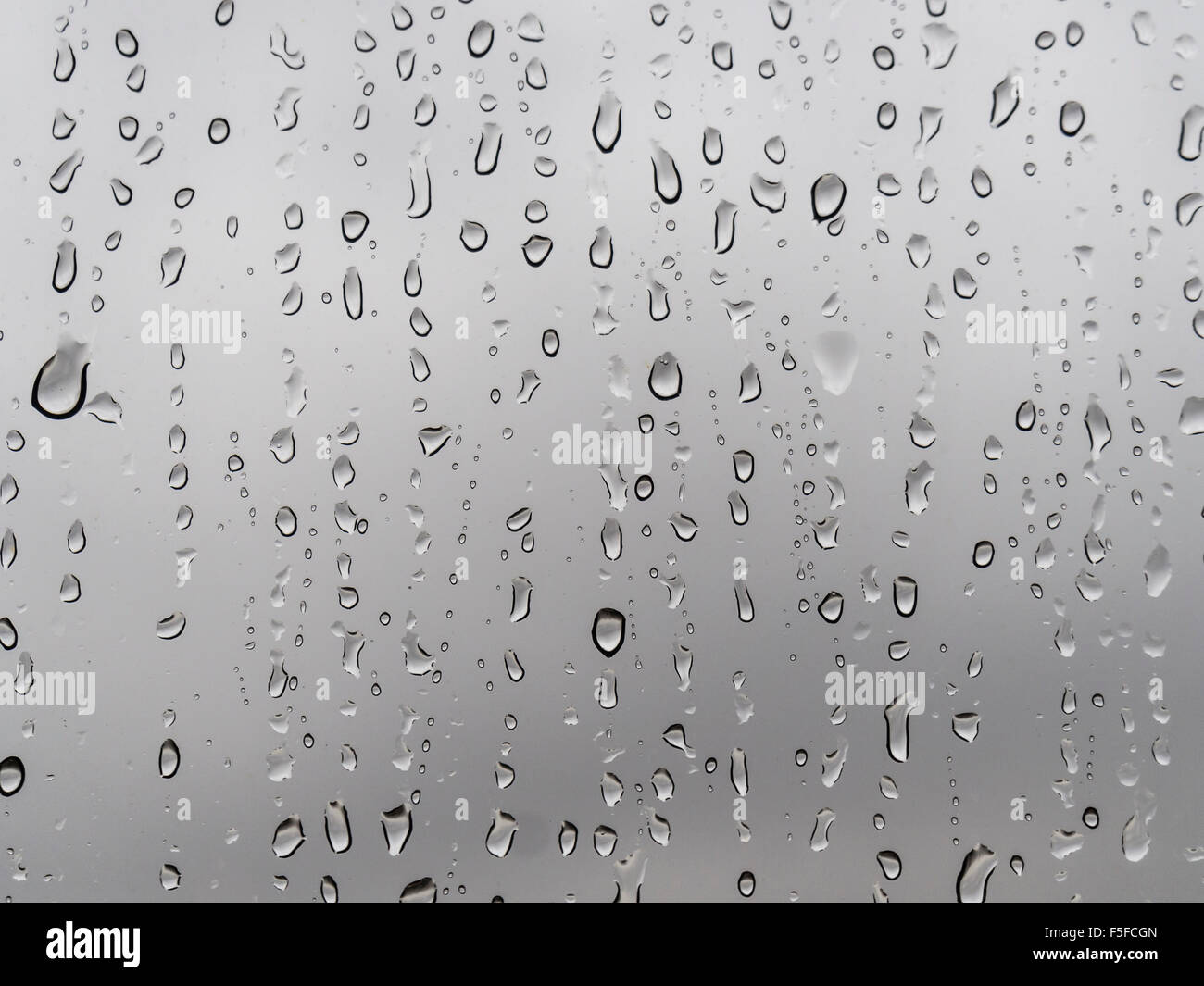 After heavy rainfall, many raindrops are trickling down a translucent ...