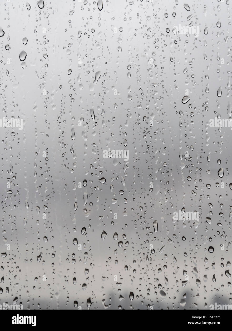 After heavy rainfall, many raindrops are trickling down a translucent ...
