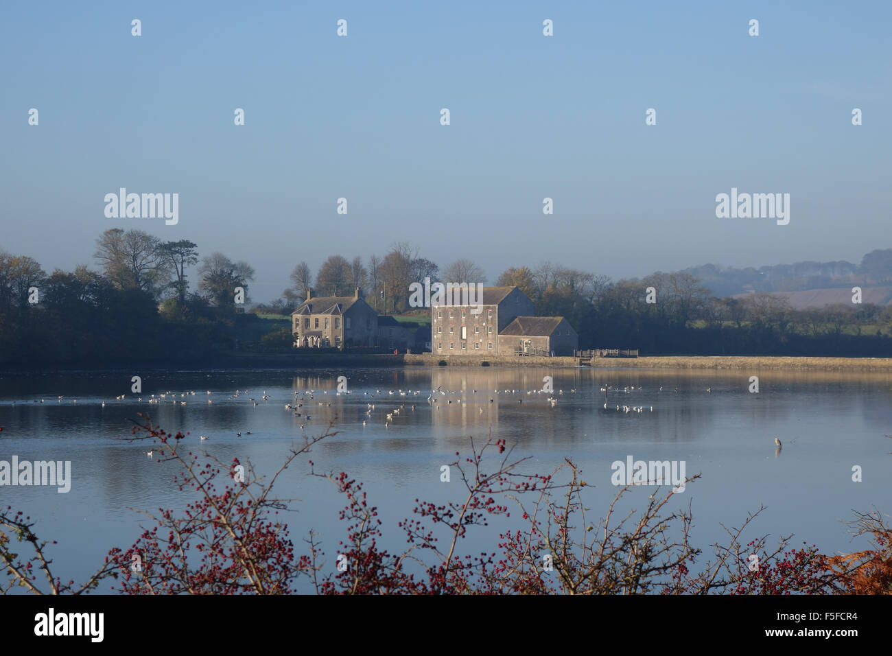 Carew tidal mill causeway carew hi-res stock photography and images - Alamy