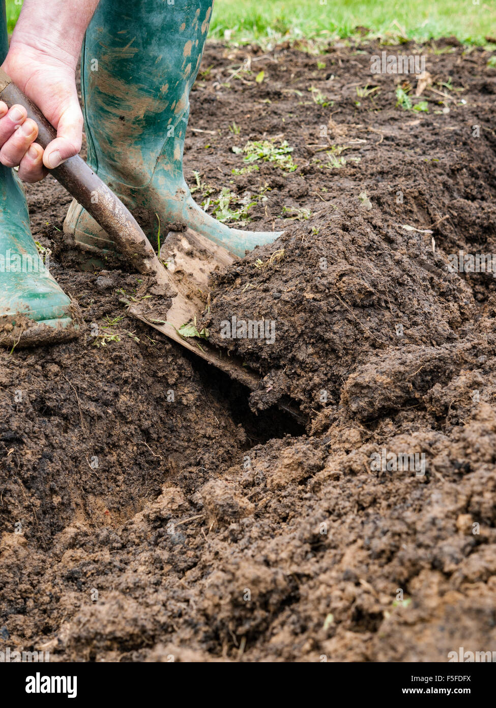Worm digging hi-res stock photography and images - Alamy