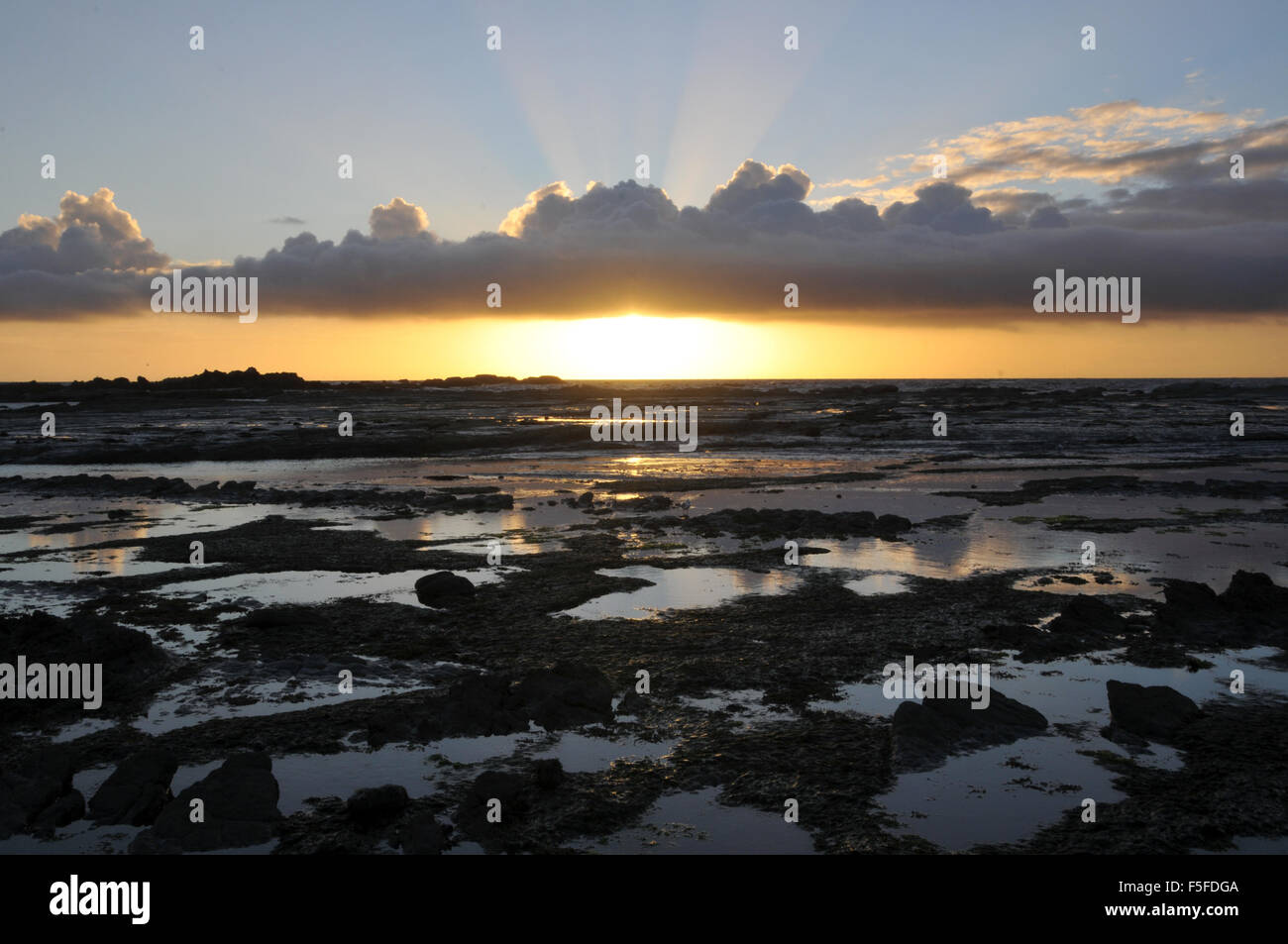 Tide pools hi-res stock photography and images - Alamy