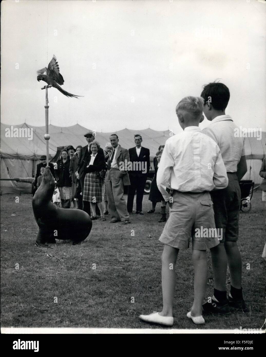 Chipperfields circus hi-res stock photography and images - Alamy