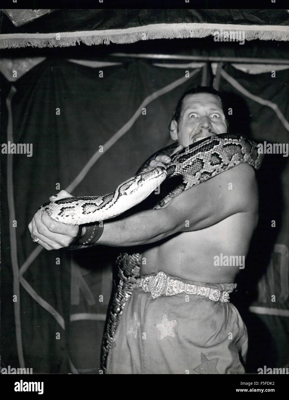 Audiences have never been nearer snake than visit to zoo hi-res stock ...