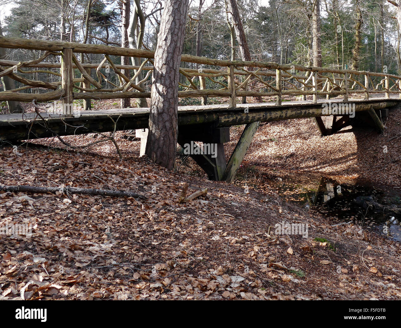 Rustic Wooden Bridge Over Stock Photos & Rustic Wooden Bridge Over ...
