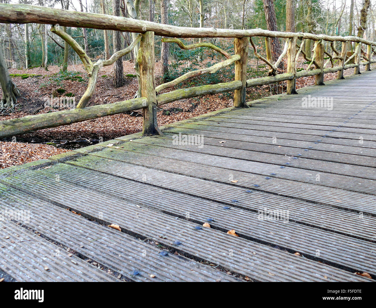 Rustic branches hi-res stock photography and images - Alamy