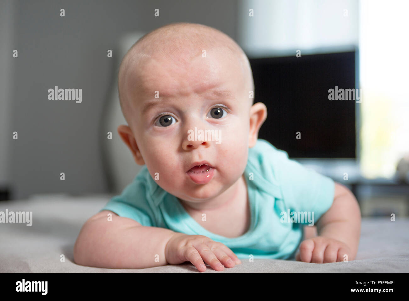 4 month old baby boy is laying on her tummy at home Stock Photo - Alamy