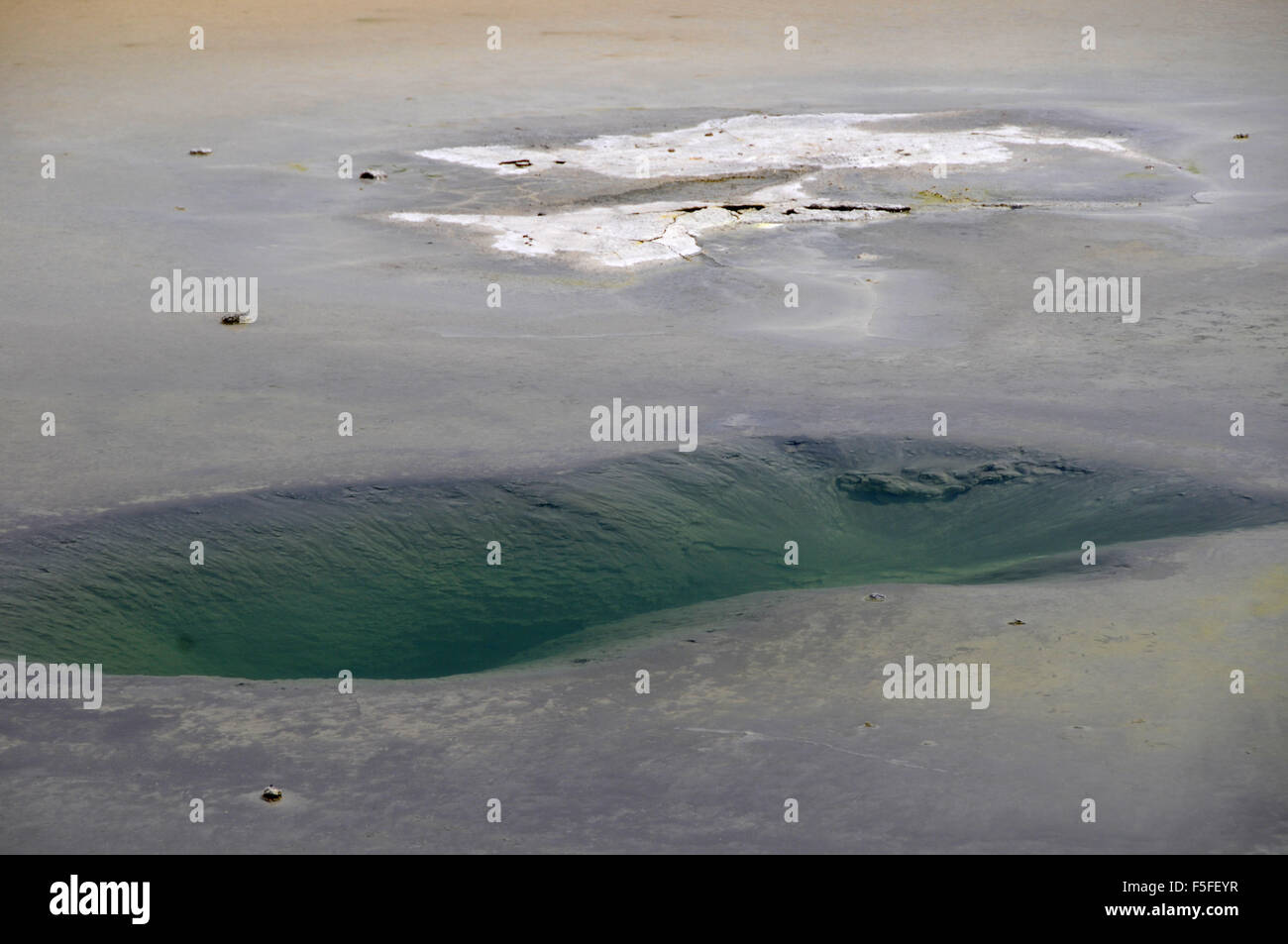 Waiotapu thermal spring, Waiotapu Thermal Wonderland, Rotorua, North ...