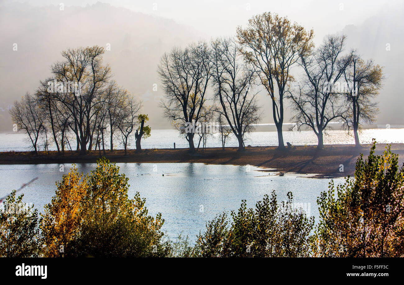 Middle autumn hi-res stock photography and images - Alamy