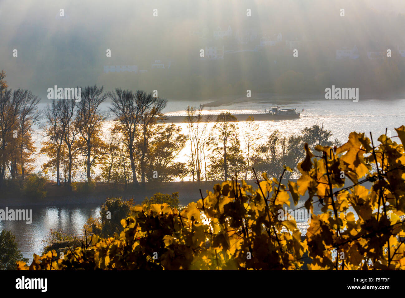 Middle autumn hi-res stock photography and images - Alamy