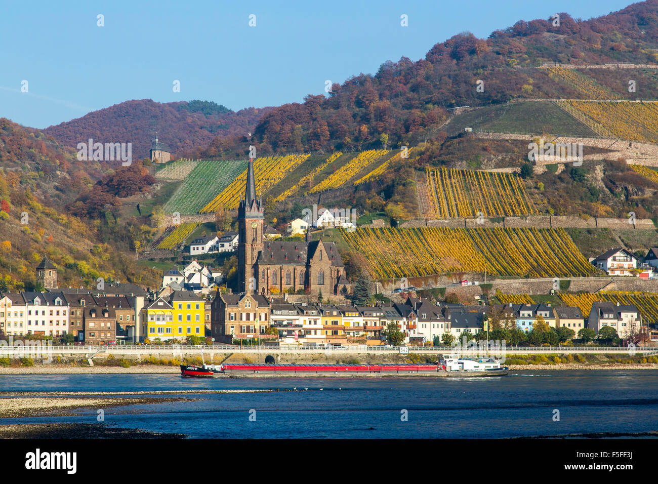 Wine village Lorch, Germany, upper middle Rhine valley, vineyards Stock ...