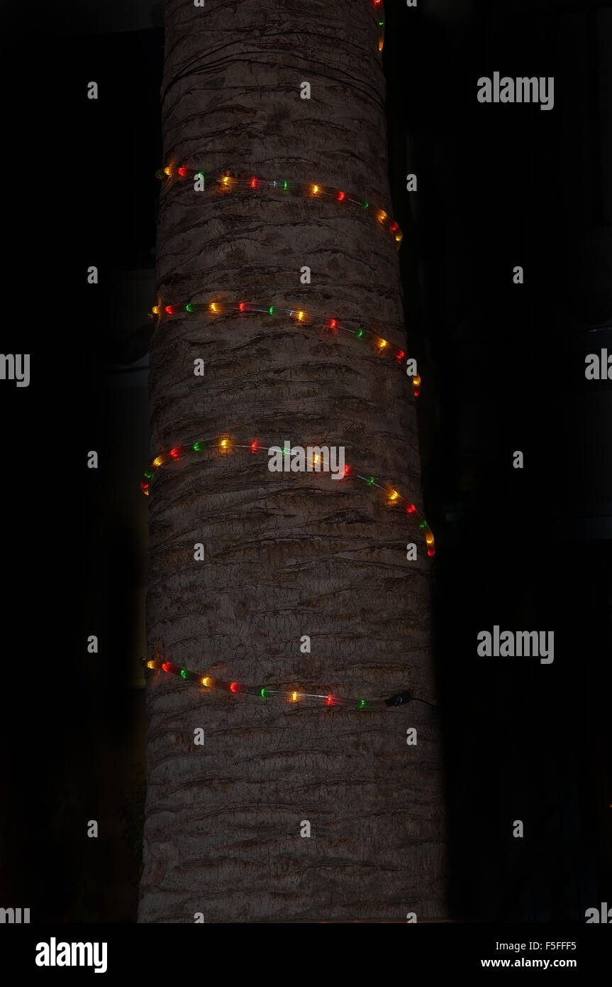 Colorful light string wrapped around a tree at night Stock Photo - Alamy