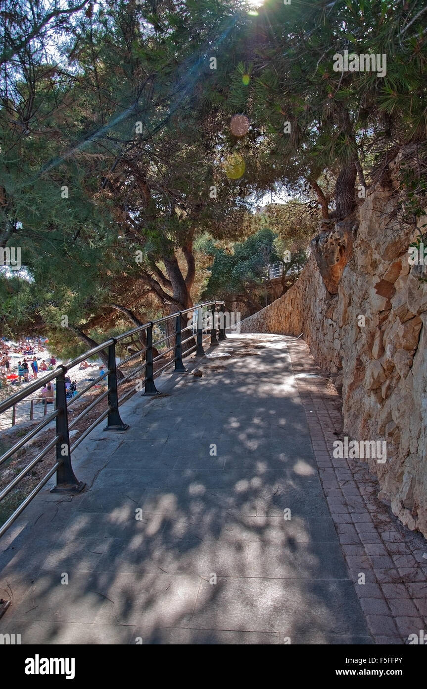 Seaside path with rock wall, trees, fence, sunshine and sandy beach ...